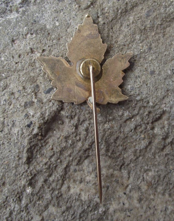 Large Canada Maple Leaf Autumn Colours Fall National Canadian Flag Pin ...