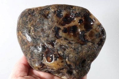 Montana Yellowstone River Agate Lapidary 1 lb 14 oz rough lot Bb | eBay