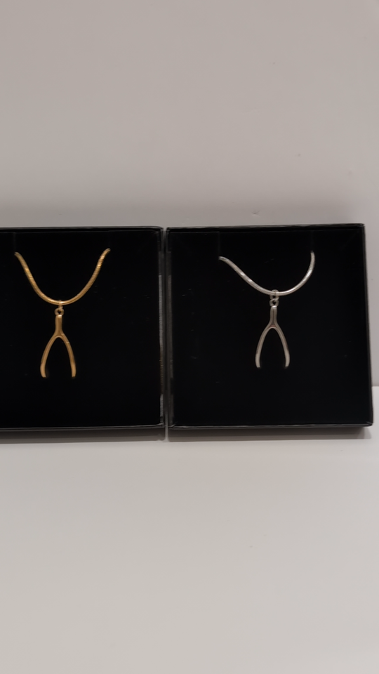 Conan Gray Wishbone Stainless Steel Pendant Necklace Snake Chain Silver ...