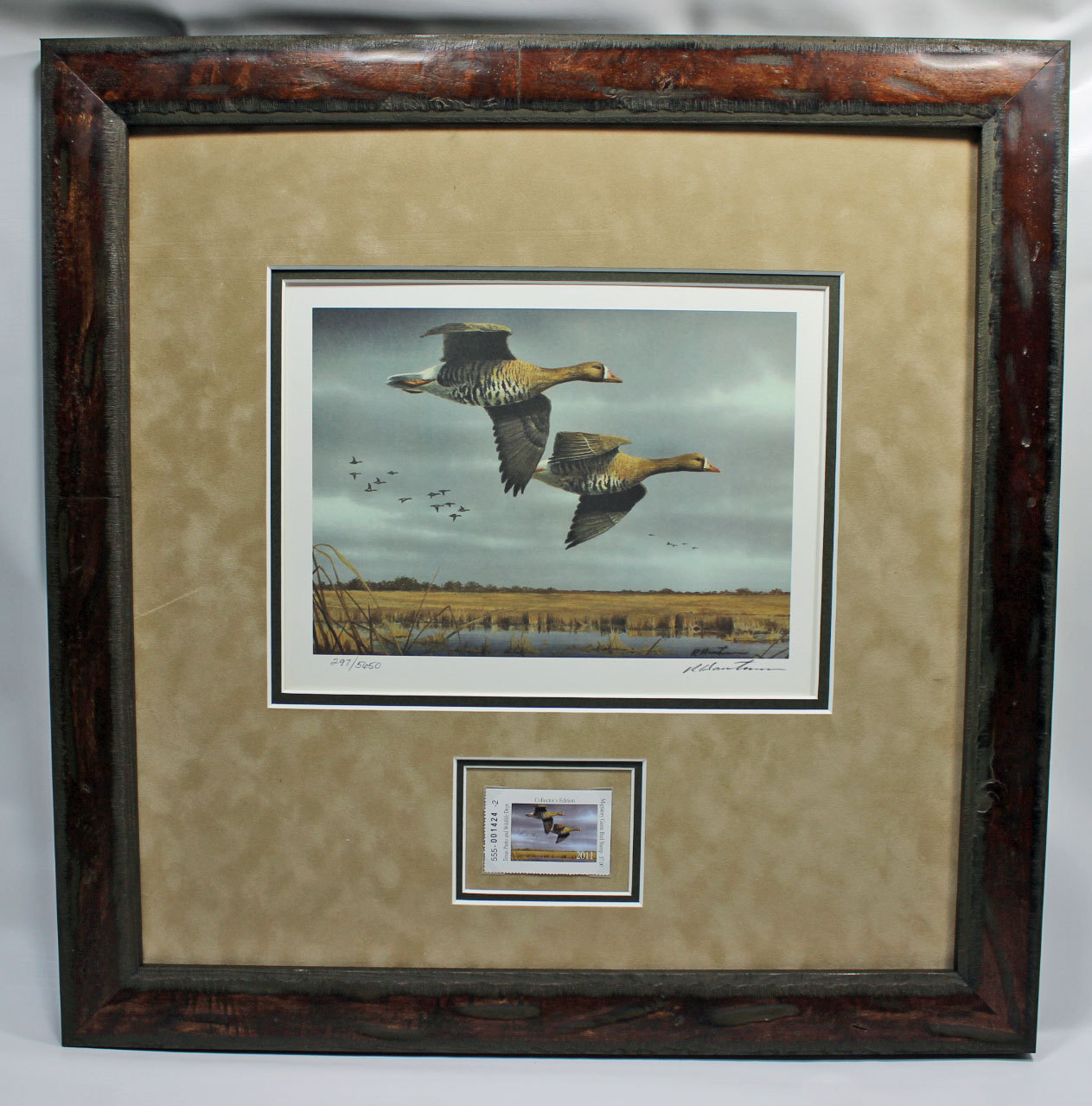 2011 Texas Waterfowl Duck Conservation Stamp Print Framed Mint Geese ...