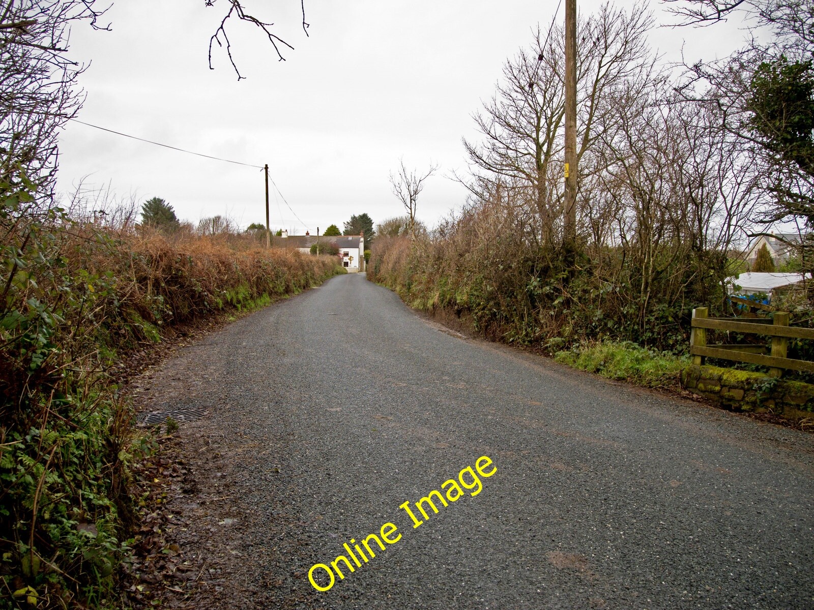 Photo 6x4 A point near the source of the river Yeo Cranford/SS3421 The ...