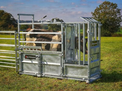 BATEMAN HYBRID CATTLE CRUSH Squeeze Galvanised Cow VAT Included IN ...