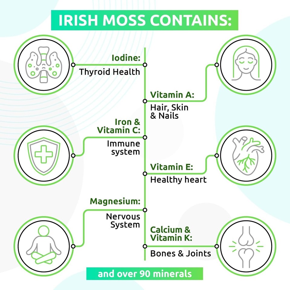 Wildcrafted Irish Sea Moss Gel Made with Dried Seaweed Seamoss ...