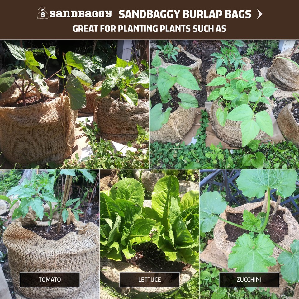 Sandbaggy 24" x 40" Burlap Plant Covers - Frost Protection For Trees ...