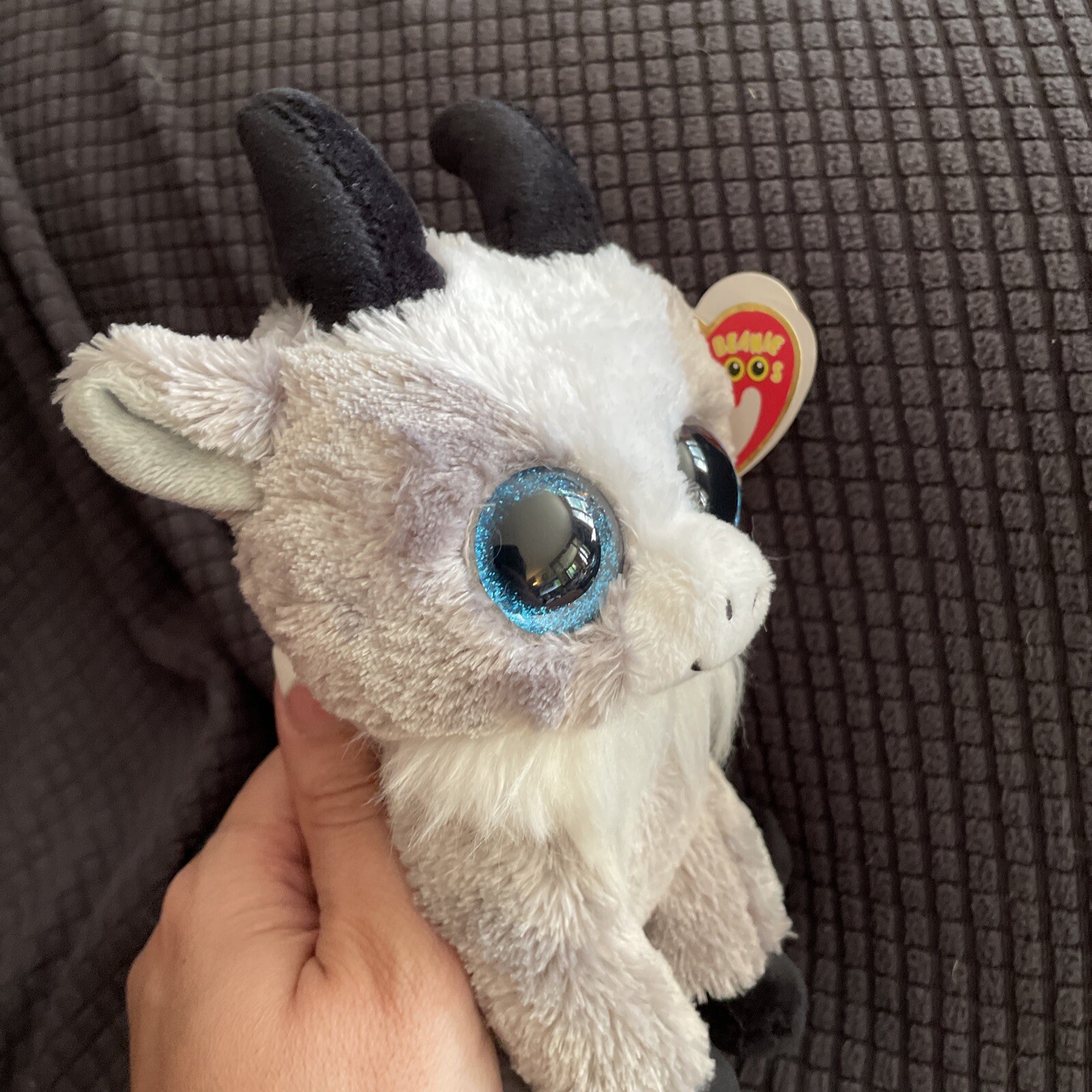 TY Beanie Boos 6 Inch GABBY the Goat Plush Stuffed Animal New With Tags ...
