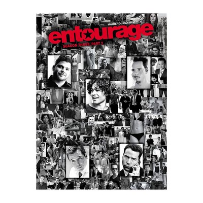 Entourage Saison 3 Article 2 DVD (Sp ) (PO102118) | eBay