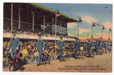 Florida Greyhound Dog Racing c1955 parade before fans prior to race ...
