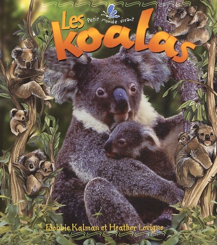 Les koalas, Bobbie Kalman, Heather Levigne et Lyne Mondor | eBay