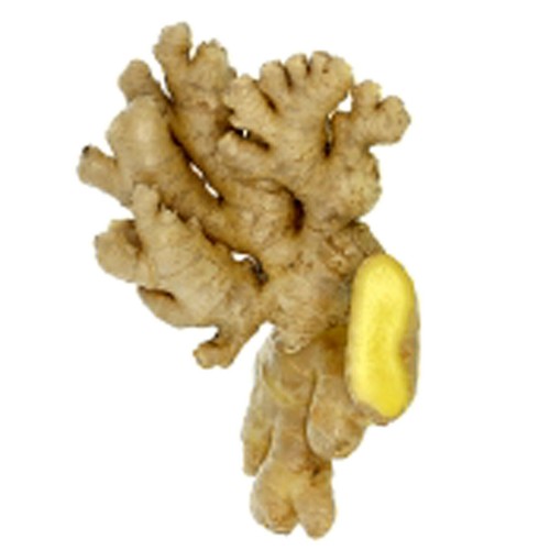 500g frischer Ingwer Ingwerwurzel Ginger fresh frische Ingwer Wurzel | eBay