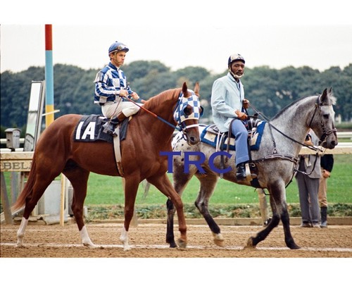 SECRETARIAT, RON TURCOTTE & CHARLIE DAVIS ORIGINAL 1973 8X10 WOODWARD ...