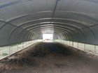 Livestock Shelter Sheep House Polytunnel Field Barn – 21ft Wide Sheep ...