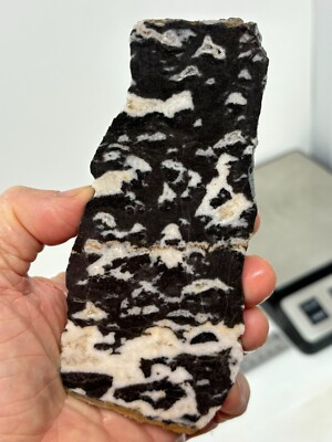 Zebra stone aka Zebra Marble Slab Cabbing Lapidary Carving Reiki Chakra ...