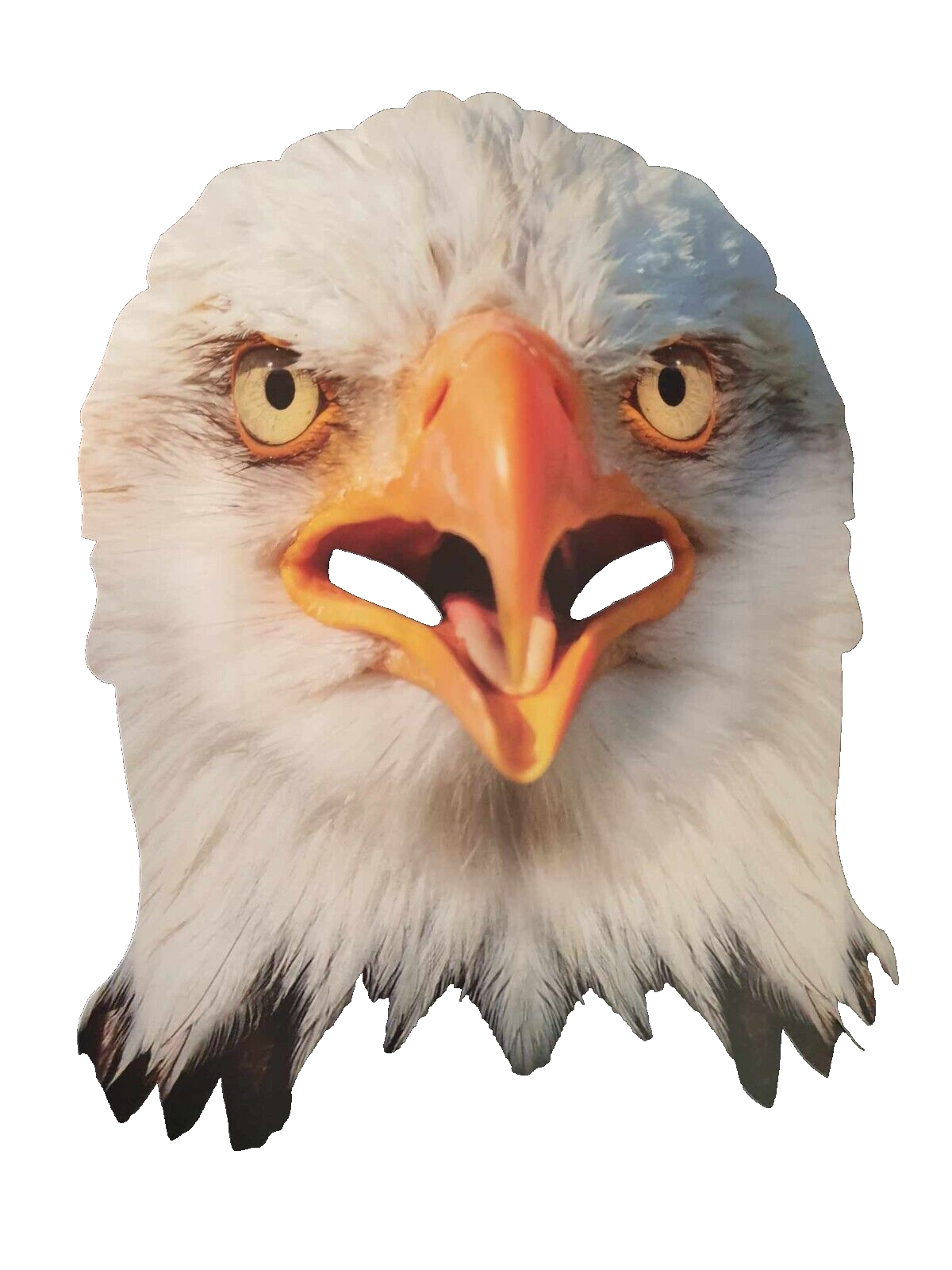 ANIMAL: BALD EAGLE Card A4 Mask Mask-arade Fancy Dress up Stag Hen ...