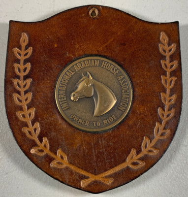 2" Bronze? International Arabian Horse Association Owner To Ride Medal ...