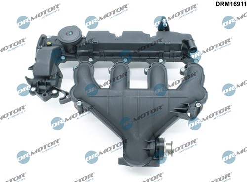 DR.MOTOR AUTOMOTIVE DRM16911 INTAKE MANIFOLD MODULE FOR CITROËN,FIAT ...