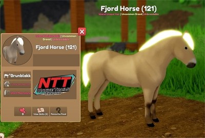 Wild Horse Islands - Brunblakk, Moonstone, Fjord Horse - IUH | eBay