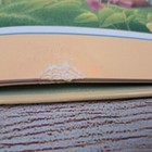 Friendship Saves the Day by Karen Ravn 1998 Hallmark Children's Story ...