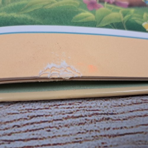 Friendship Saves the Day by Karen Ravn 1998 Hallmark Children's Story ...