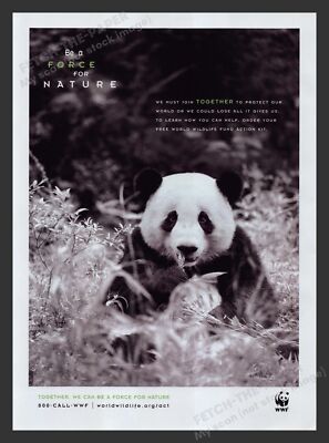 WWF 2000s Print Advertisement 2007 Panda World Wildlife | eBay