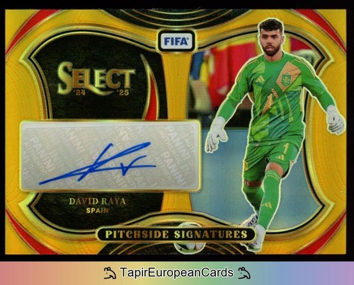 /10 GOLD David Raya Panini Select 2024 Auto Autograph Arsenal Spain PS ...