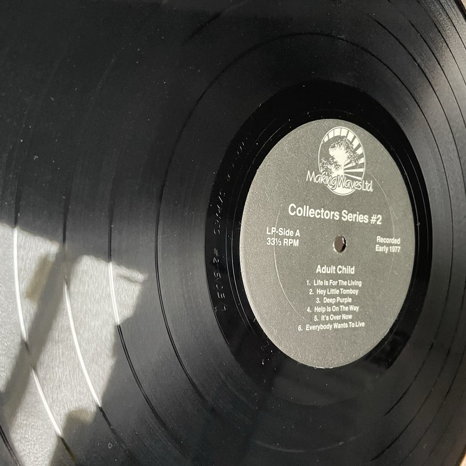 The Beach Boys – Adult Child Vinyl Record BLACK 1983 Very Rare ...