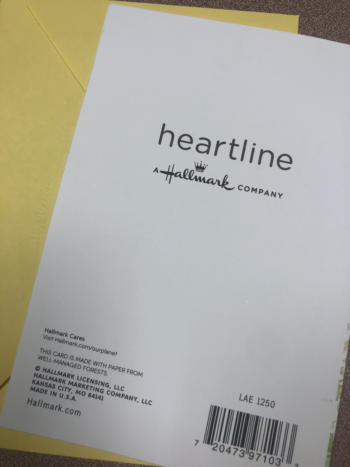 Happy Birthday For My Wonderful SISTER 5”x7” Hallmark Heartline ...