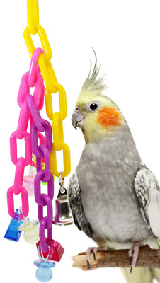 1481 Pull Chain BIRD TOY parrot cage toys cages african grey conure ...