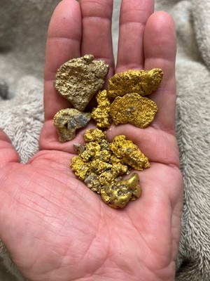 Premium Rye Patch Gold Mining Claim - Section 08 - Rare Find! | eBay