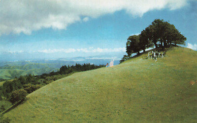 Postcard Mt. Tamalpais And Muir Woods Union Oil Company's Natural Color ...