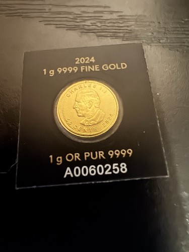 Canadian Gold Coin Maple Leaf weighing 1 gram (2023 MapleGram) | eBay UK