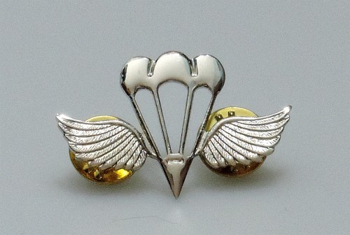 U.S. Navy Aircrew Survival Equipmentman (PR) Ball Cap Pin | eBay