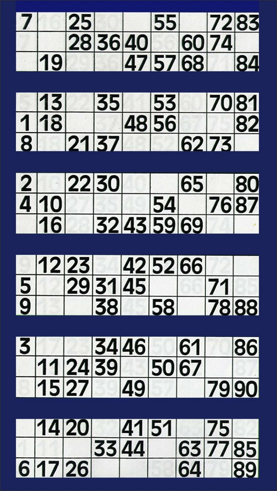 [Set of 15] 6 to View Padded Bingo Ticket Book 21 x 12cm 600 Tickets ...