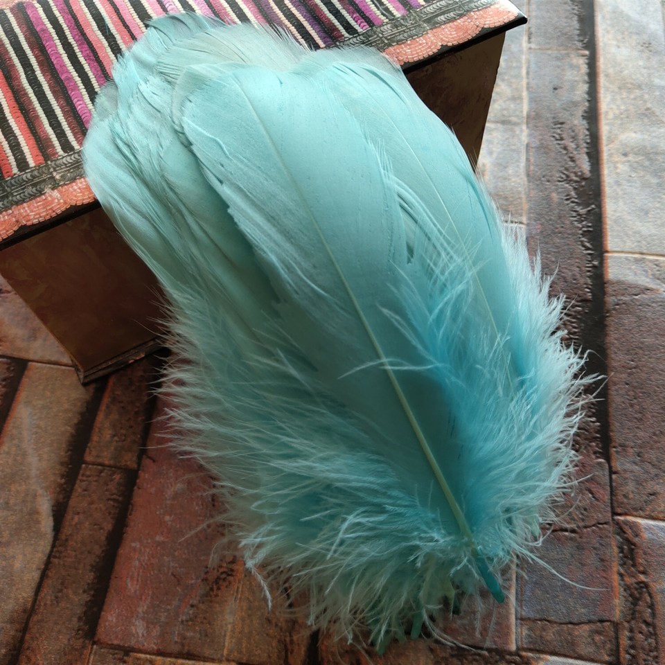 Wholesale 20-100 Pcs Pretty Natural Goose Feathers 12-18 cm/5-7 inches ...