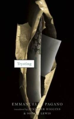 Trysting - Paperback By Pagano, Emmanuelle - GOOD 9781931883566| eBay