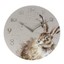 Wrendale Designs Hare Wall Clock - 30cm Diameter Analogue Face – Home ...
