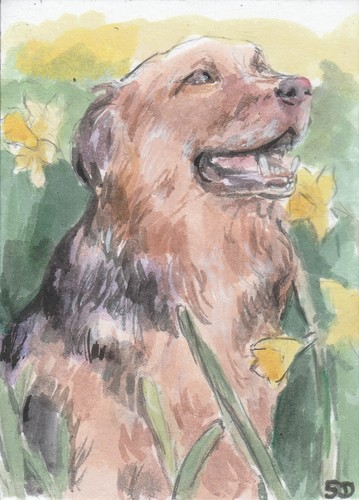 ACEO Original Painting Dog #5 100% Hand Painting | eBay