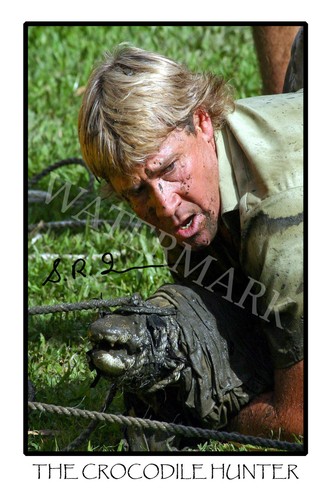 Steve Irwin signed 12x18 inch photograph poster - The Crocodile Hunter ...