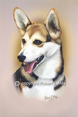 Corgi Head Study Print by Robert J. May | eBay