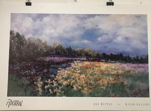 FINE ART LITHOGRAPH: Ann Ruttan - Iris Festival - 24 X 37 | eBay