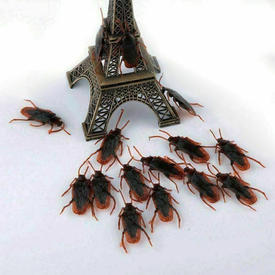 20PCS Rubber Cockroaches Realistic Cock Roach Rubber Fake Creepy Bugs ...