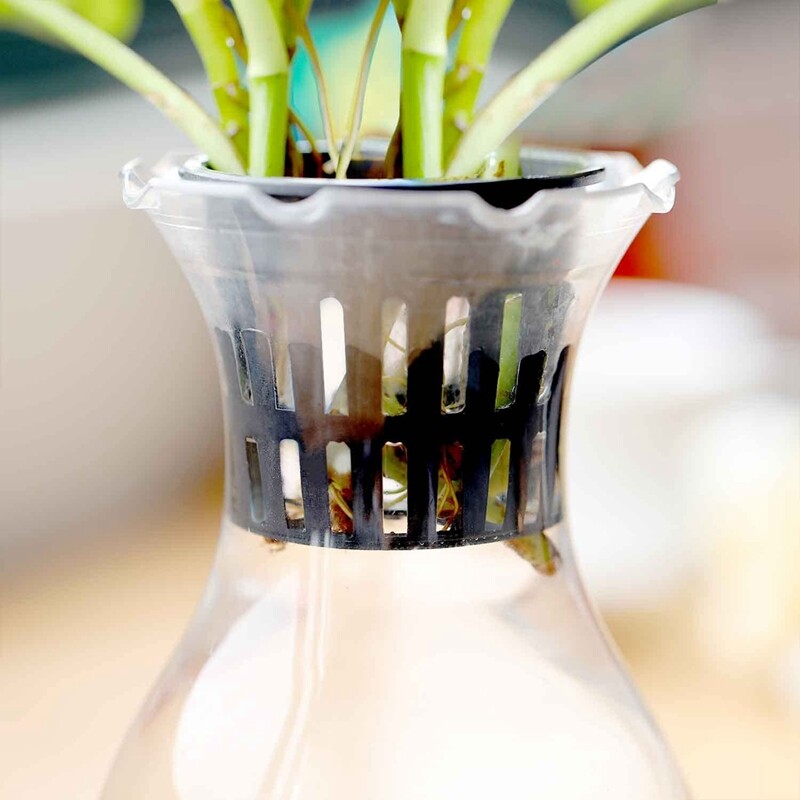 100 Pack 2.36 Inch Net Cups Slotted Mesh Wide Lip Plant Net Pot Bucket ...