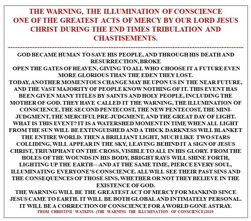 The Warning: Testimonies and Prophecies of the Illumination of ...