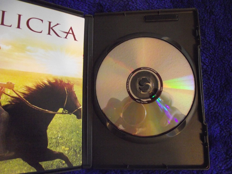 Flicka (DVD 2006) Alison Lehman Tim McGraw Maria Bello (WS, FS) | eBay