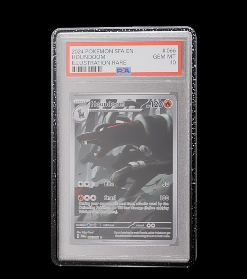 GradedGuard PSA Graded Card Case Guard Protector ECLIPSE Limited ...