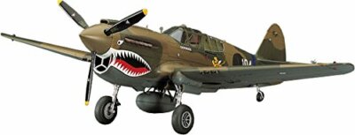 Hasegawa 1/48 Model kit US Army P-40E Warhawk from Japan 1434 | eBay
