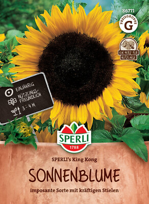 Sonnenblume King Kong