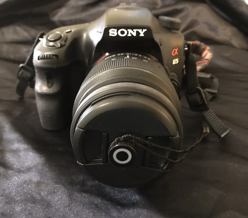 Sony SLT-A65 24.3 MP Digital SLR Camera - Black (Double Lens Kit ...