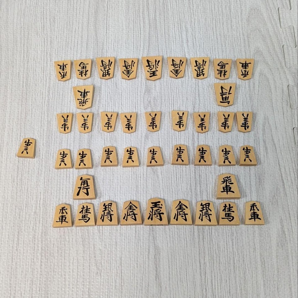 Tendo Tenzan Shogi Pieces with Box, Used, Slight Wear, Leftover Pawn | eBay