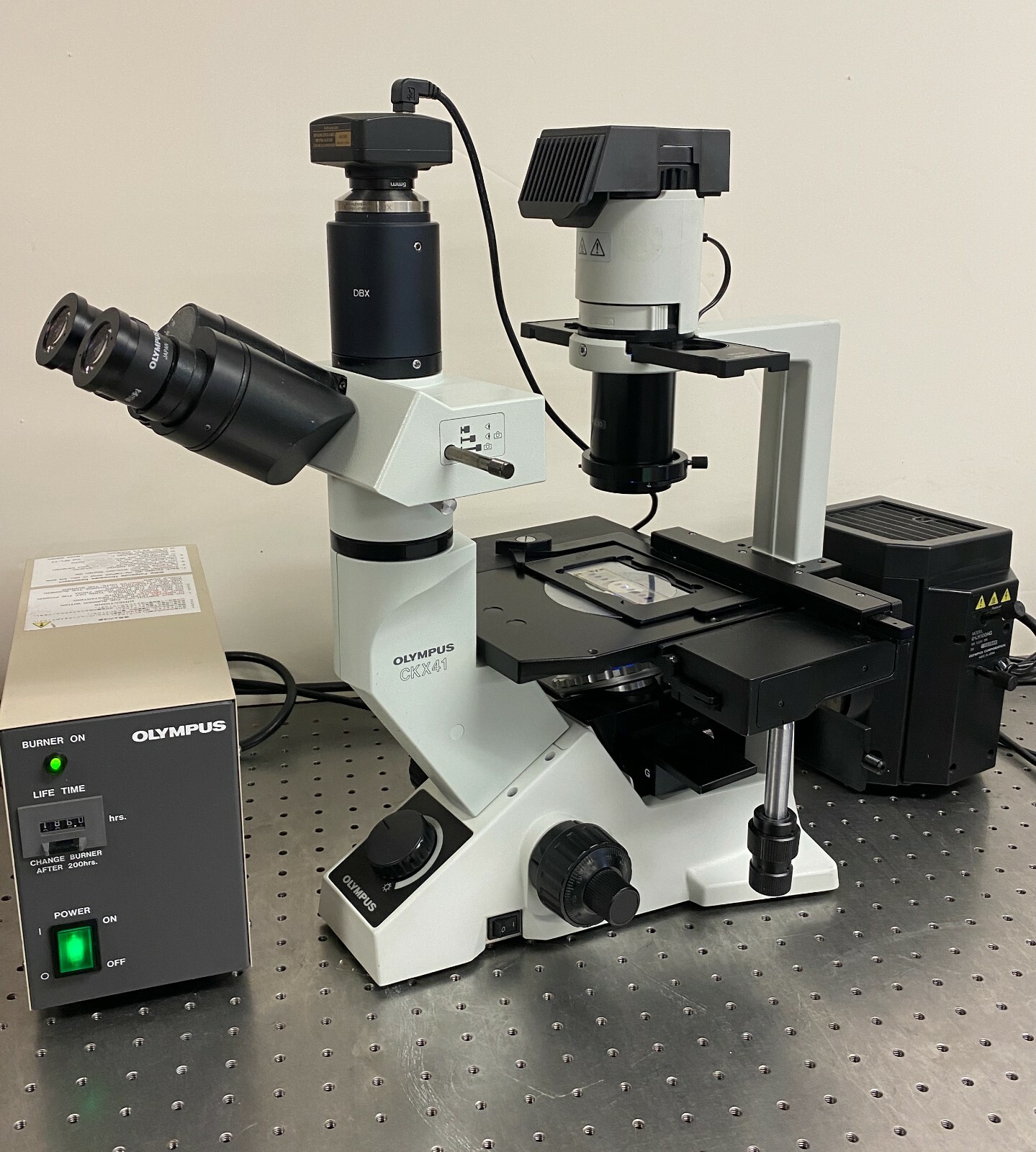 Olympus CKX41 Fluorescence Phase Contrast Inverted Microscope 5MP ...