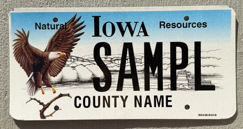Iowa Eagle Sample License Plate IA Bald Eagle Sampl Lic Natural ...